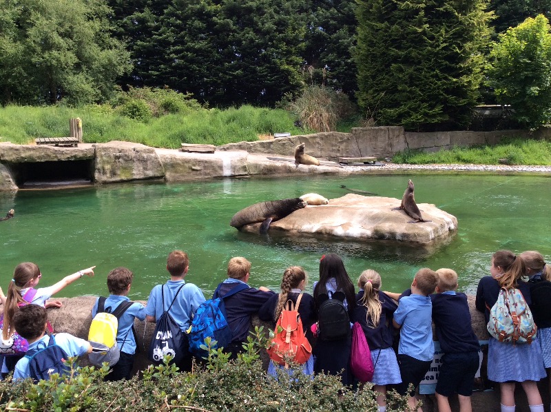 P3 & P4/5 Trip to Belfast Zoo